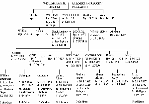 Savet | KAKO DA kreirate porodično stablo u PowerPointu | Kompjuter ...